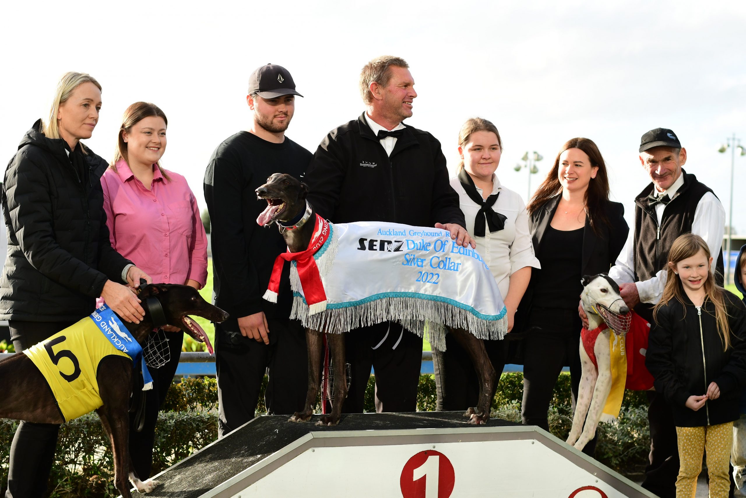 Auckland Greyhound Racing Club