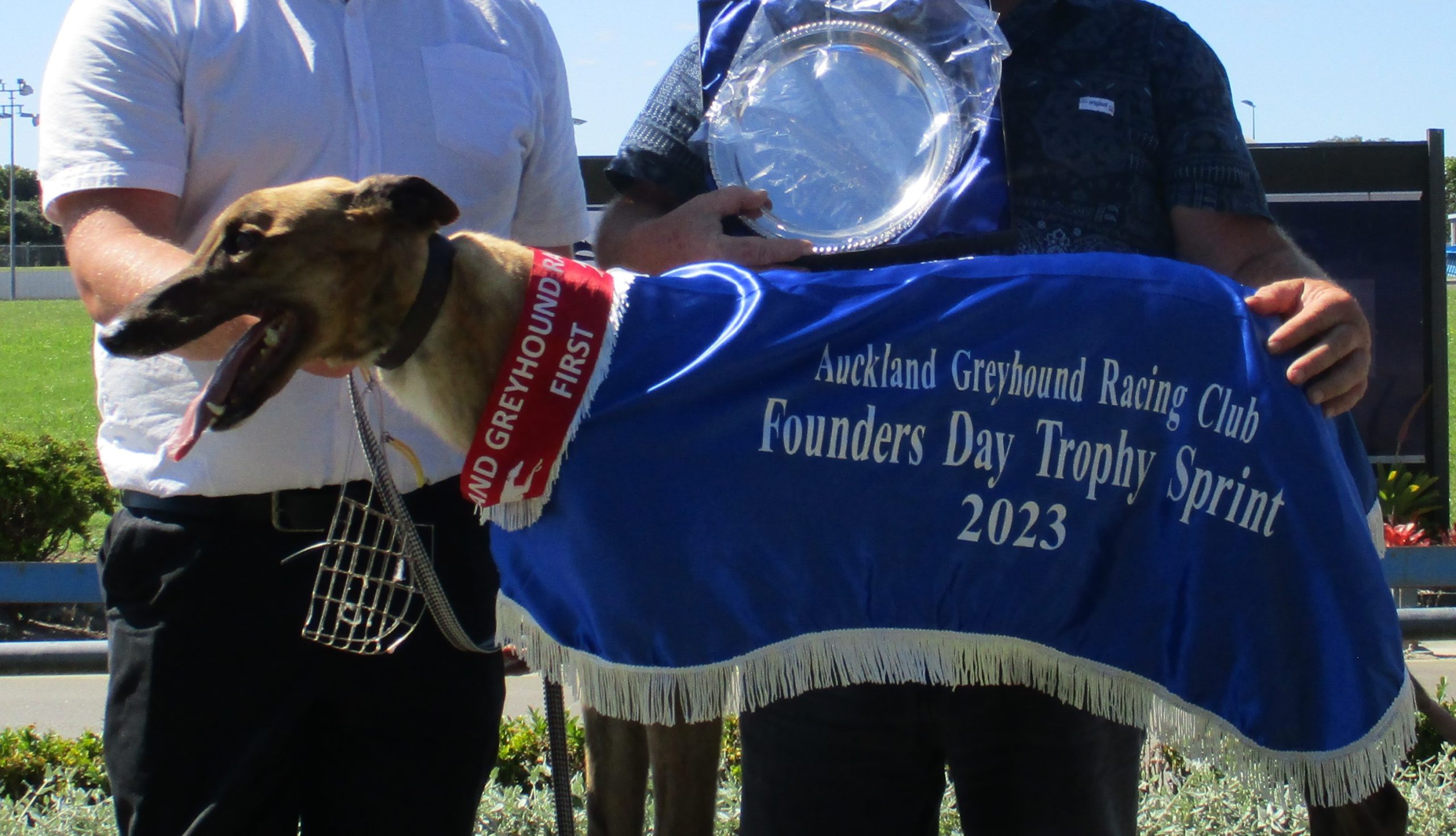 Auckland Greyhound Racing Club