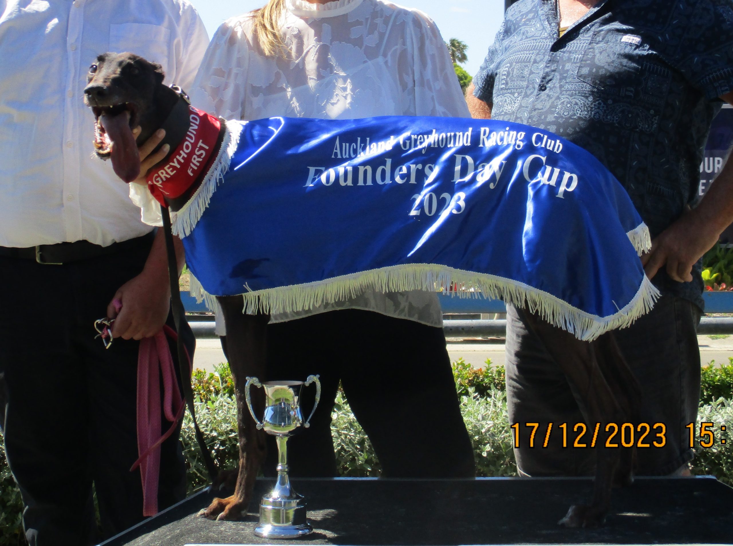 Auckland Greyhound Racing Club