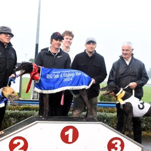 Auckland Greyhound Racing Club